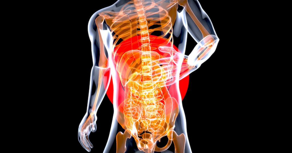 Persistent Chronic Pain: Understanding the Basics - Kate Wilson Pilates ...